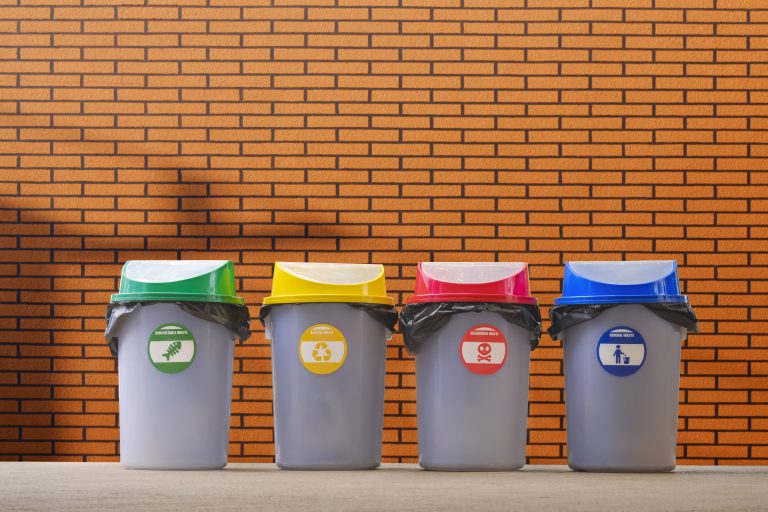 Mülltrennung & Recycling: Was wirklich in welche Tonne gehört – Trend ...